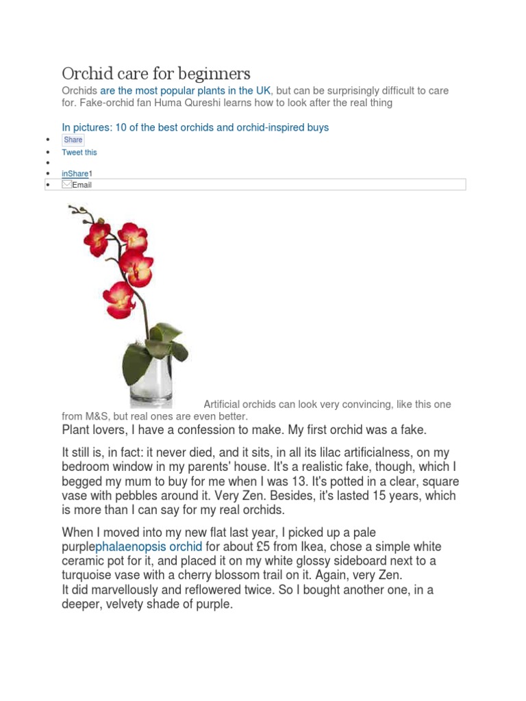Beginner's Guide to Orchid Care | PDF | Botany | Plants