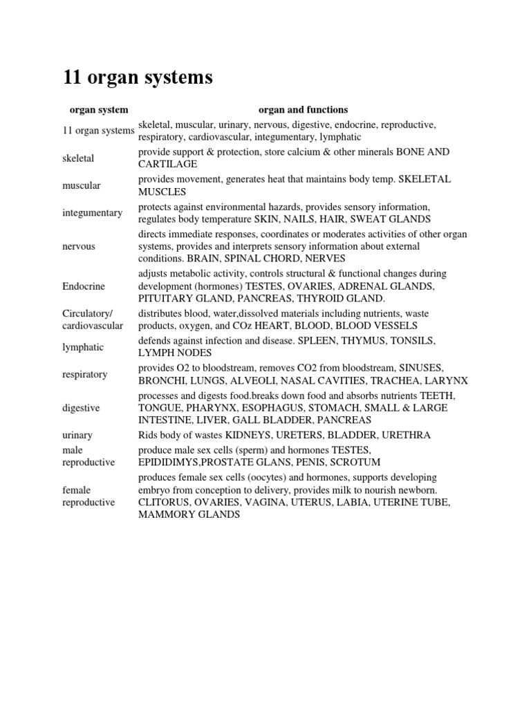 11 Organ Systems: Organ System Organ and Functions | PDF
