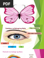 Letrang Y Worksheets | PDF