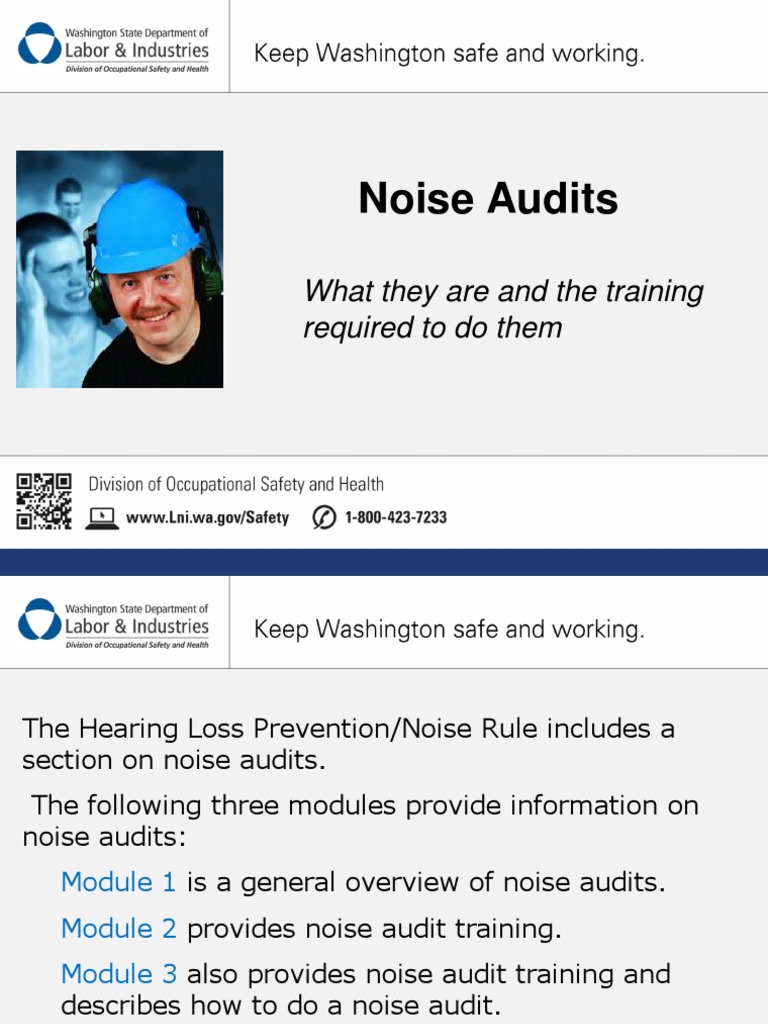 Providing Effective Hearing Protection: A Guide to Conducting Noise ...