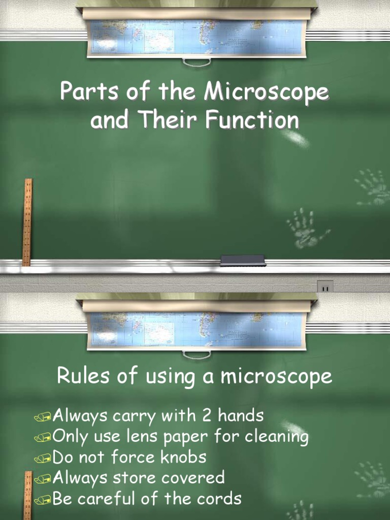 Parts of The Microscope and Their Function | PDF