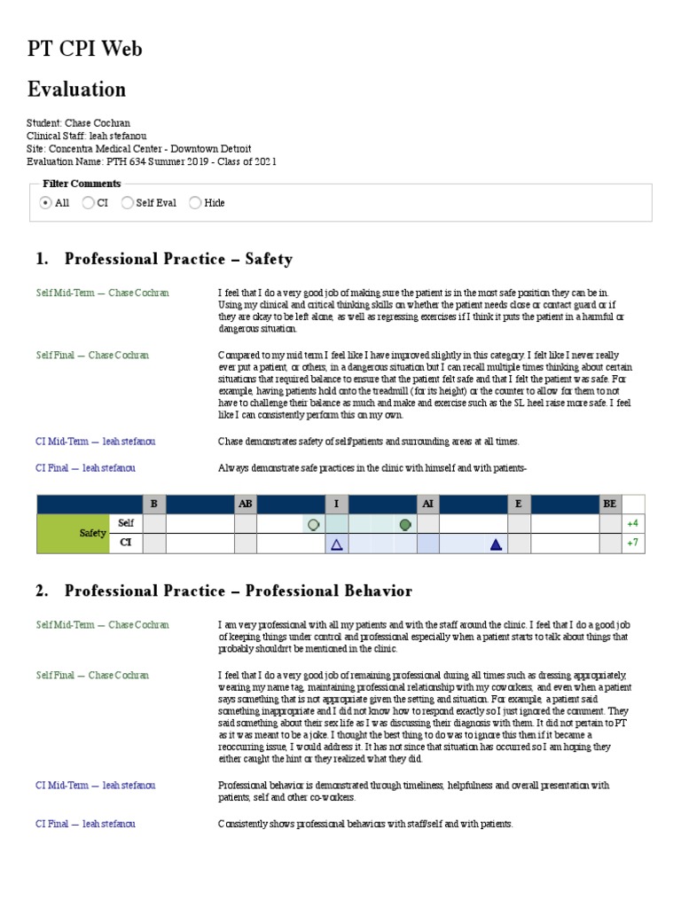 PT Cpi Web Evaluation: 1. Professional Practice - Safety | PDF ...