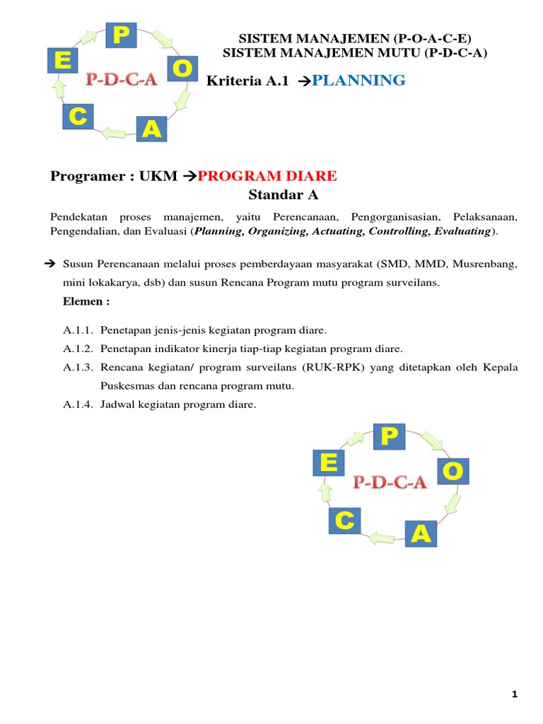 POACE PDCA DIARE Max | PDF