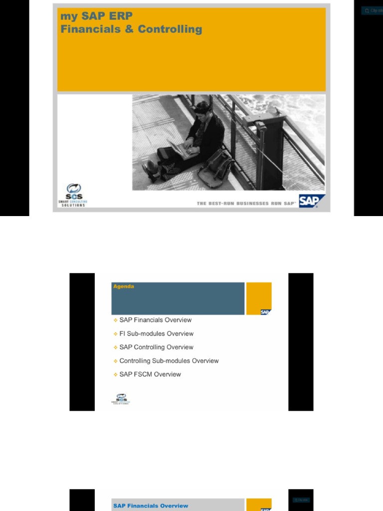 Sap Fi Org Structure | PDF