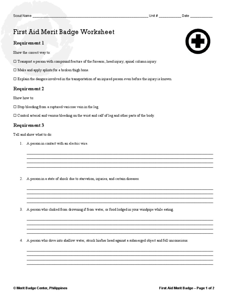 First Aid Merit Badge Worksheet: Requirement 1 | PDF | First Aid | Vein