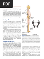 Medigrip Sizing Chart | PDF | Clinical Medicine | Limbs (Anatomy)