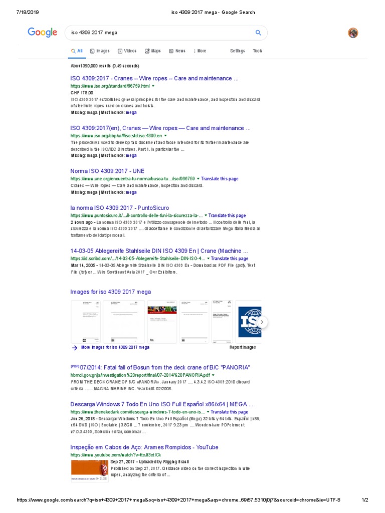 Iso 4309 2017 | PDF | Computing | Software