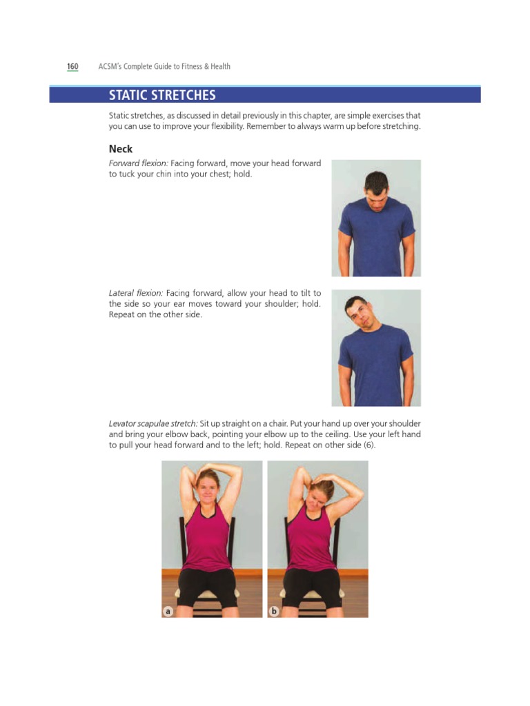 Stretch Acsm | PDF | Human Leg | Foot