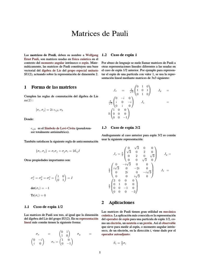 Matrices de Pauli en Física Cuántica | PDF | Spin (Física) | Teoría de ...