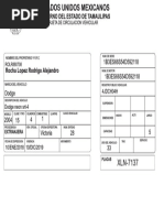Formato de Alta Vehicular SLP | PDF | Gobierno | Business