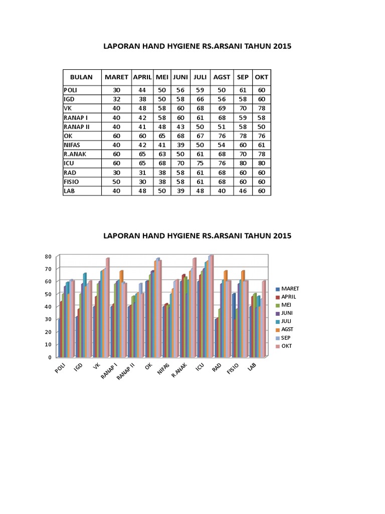 Hand Hygiene Report RS. Arsani 2015 | PDF