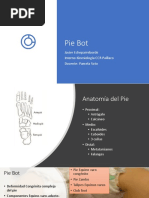 Pie Talo, Pie Varo, Valgo, y Pie Plano | PDF | Pie | Tobillo