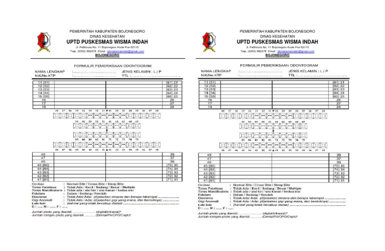 Lembar Odontogram | PDF