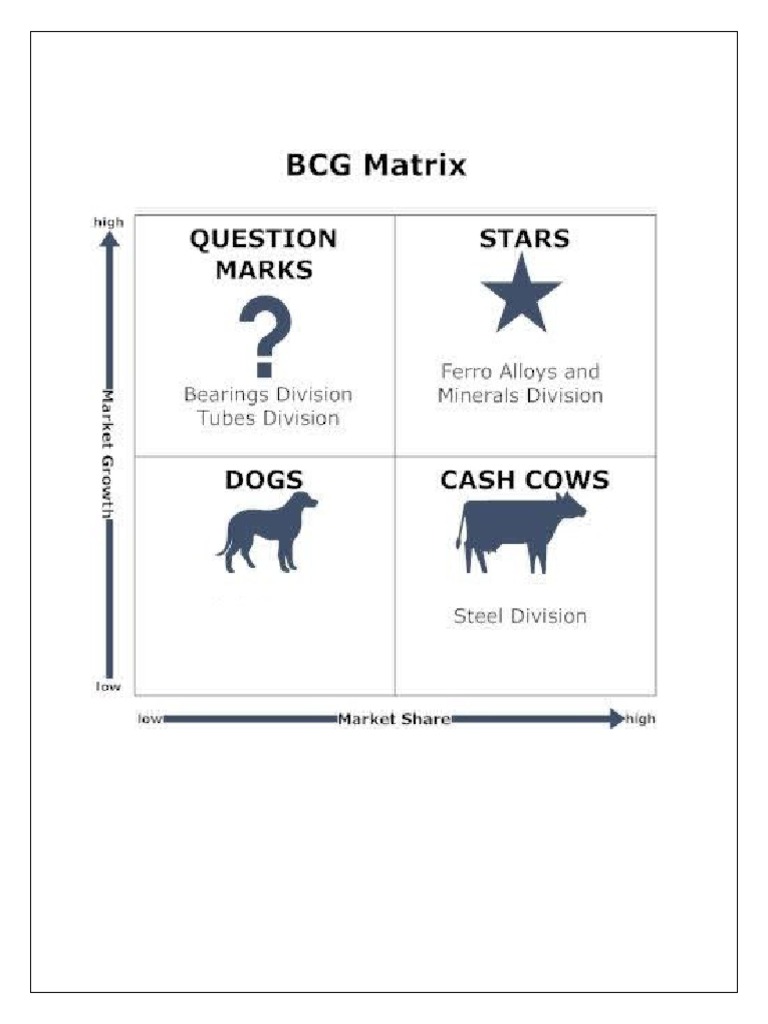 BCG TATA Steel | PDF | Business | Finance & Money Management
