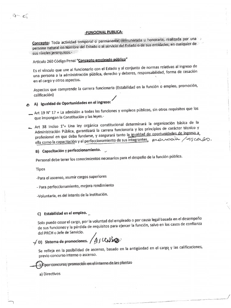 Apunte Derecho Administratvio Prof. Gabriel Celis | PDF