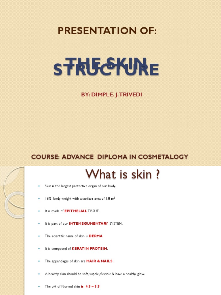 The Skin Structure: Presentation of | PDF | Skin | Epidermis