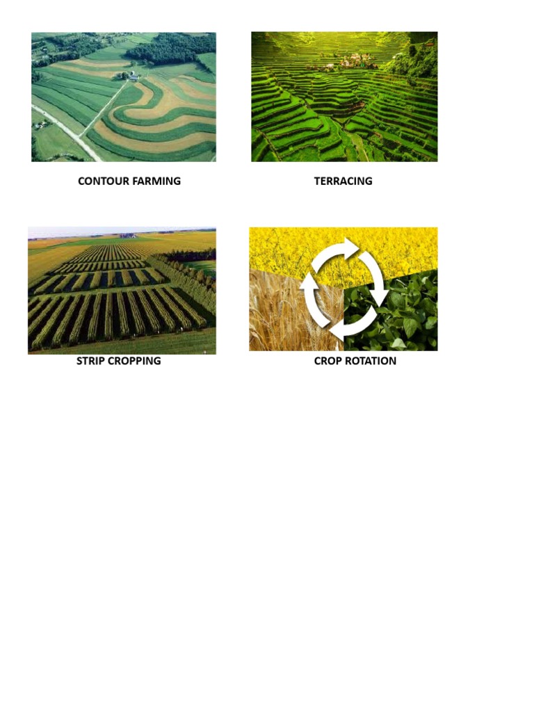 Pictures of Cropping | PDF