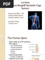 Torbay Cuff Protocol | PDF | Anatomical Terms Of Motion | Shoulder