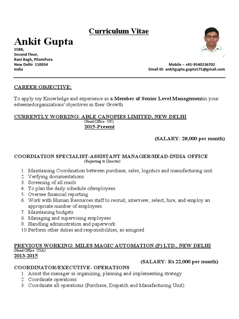 Ankit CV Final | PDF | Human Resources | Employment