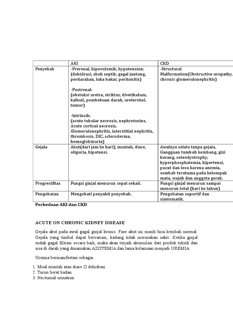 Perbedaan Aki Dan CKD | PDF