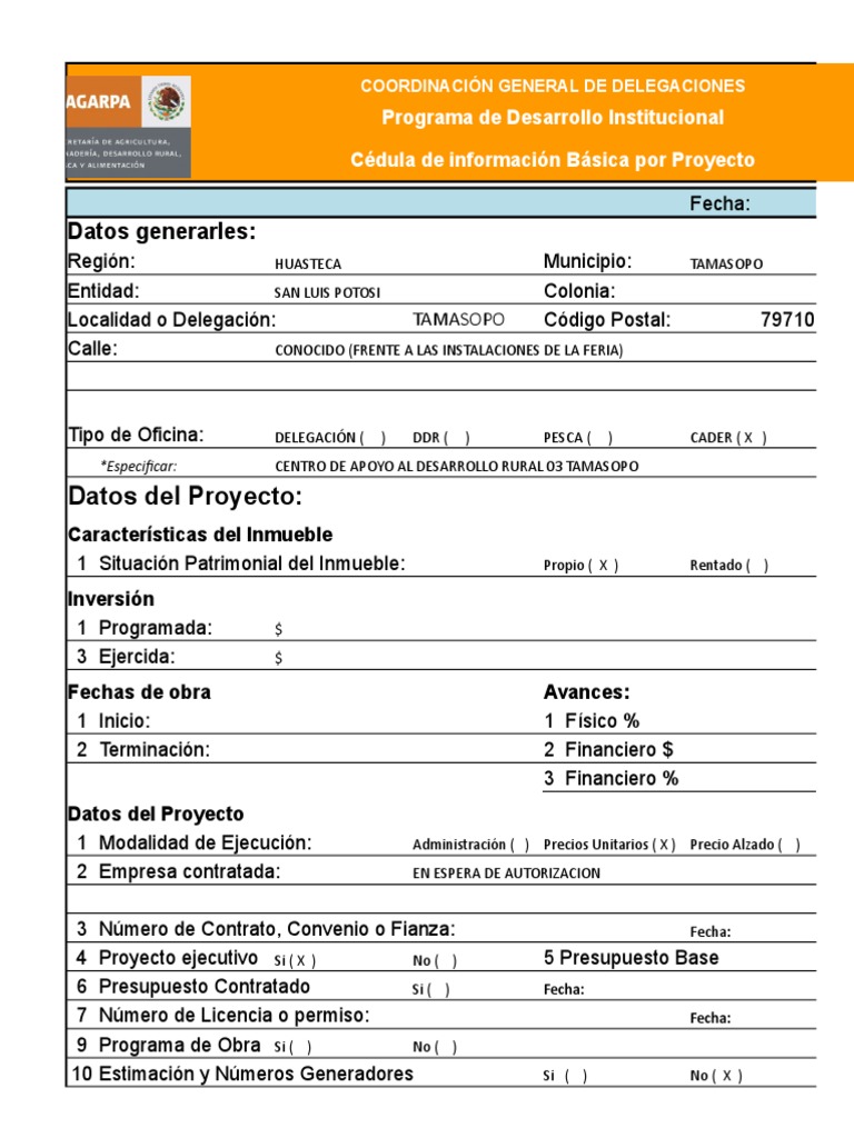 Cédula de Información Básica por Proyecto | PDF | Presupuesto | Economias