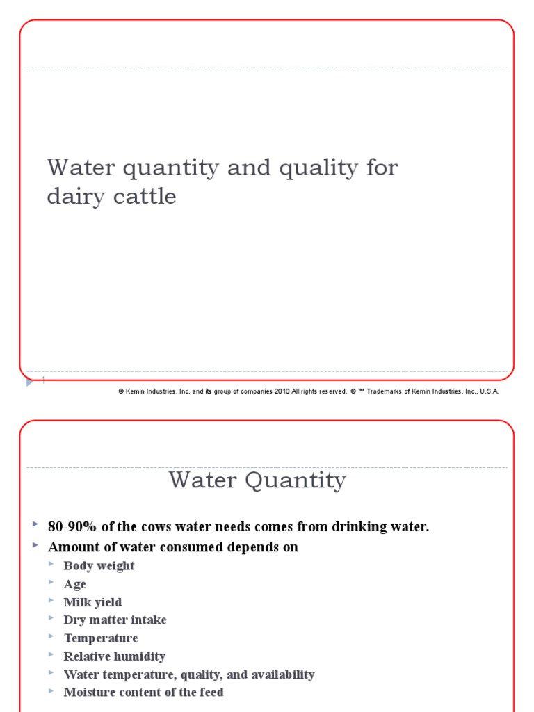 Water Quality For Dairy Cows | PDF | Cattle | Dairy