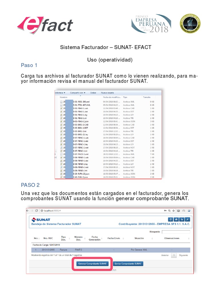 Manual Facturador SUNAT - EFACT - 1 - 2019 | PDF | Informática ...