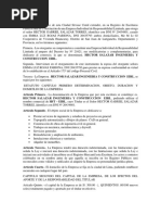 Modelo de Minuta de Constitucion de Una Eirl | PDF | Compañía de responsabilidad limitada ...