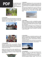 Ejemplos de Los Signos Naturales | PDF