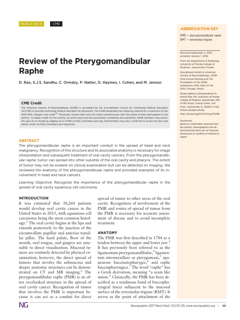 Pterygomandibular Raphe | PDF | Anatomical Terms Of Location | Human ...
