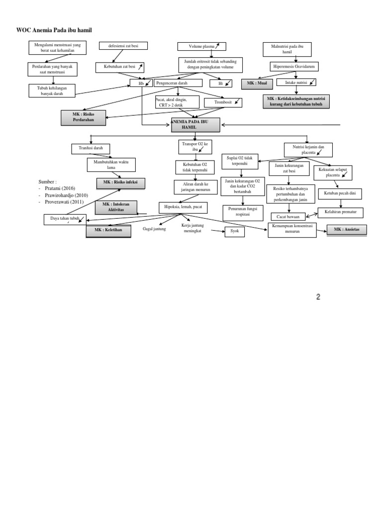 Woc Anemia Pada Ibu Hamil | PDF