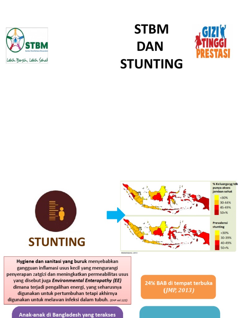 STBM Dan Stunting | PDF