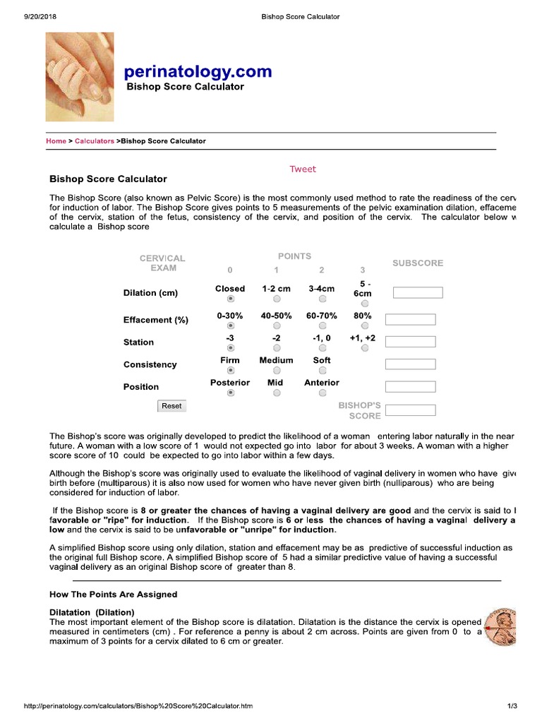 Bishop Score Calculation Guide | PDF