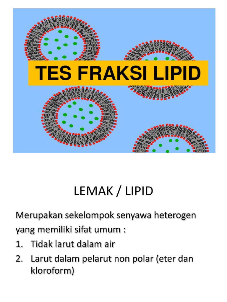 Tes Fraksi Lipid 1 | PDF
