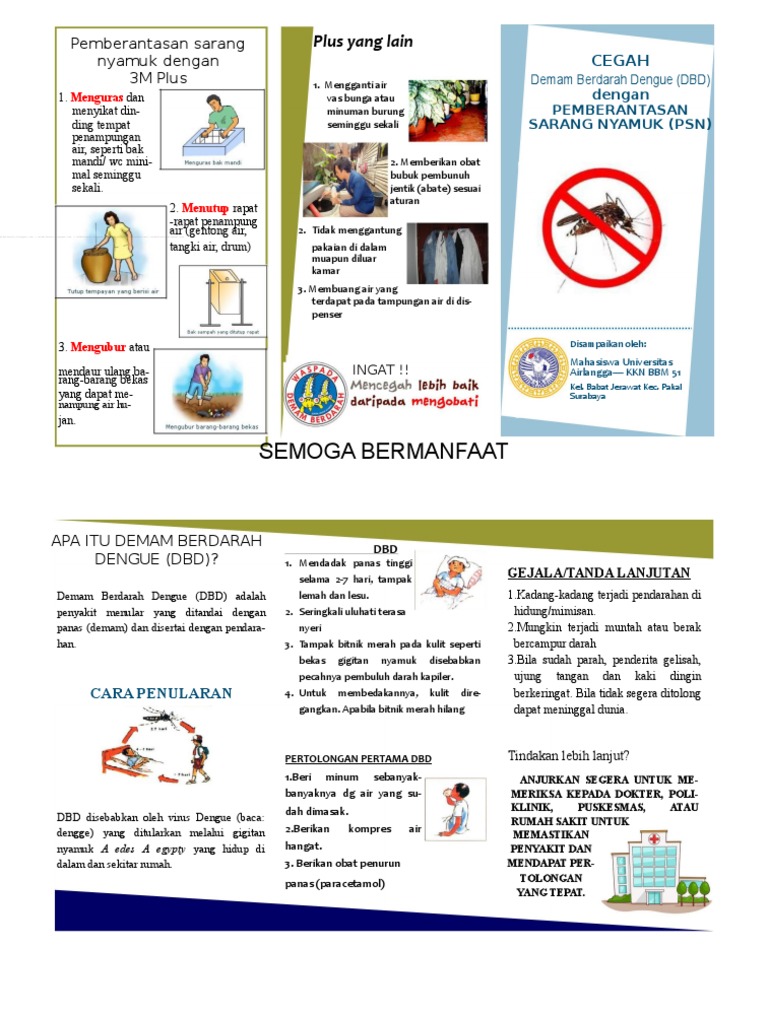 Leaflet DBD | PDF