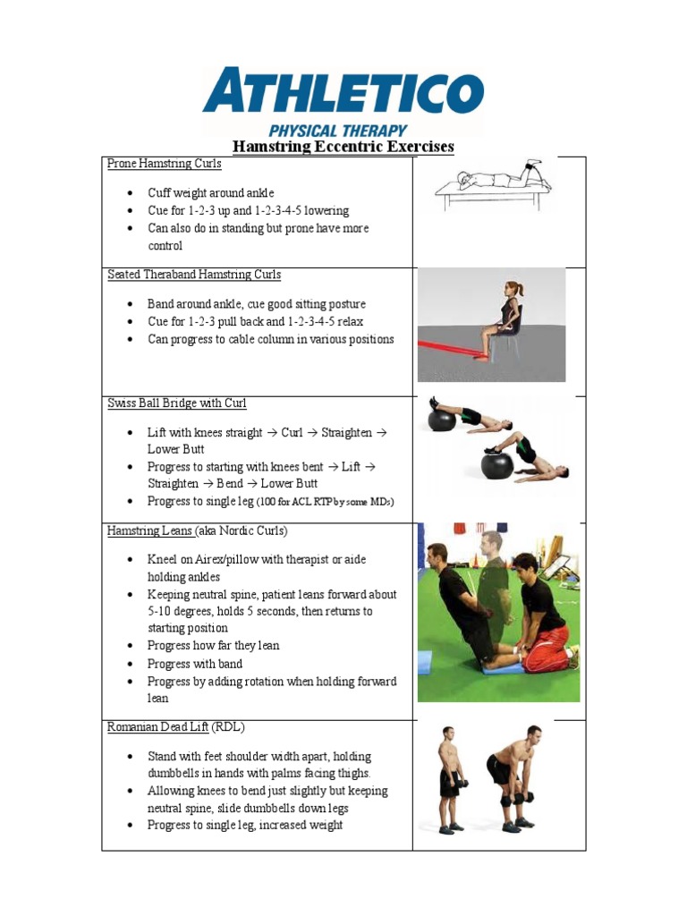 Hip Exercise Progressions Eccentric | PDF | Anatomical Terms Of Motion ...