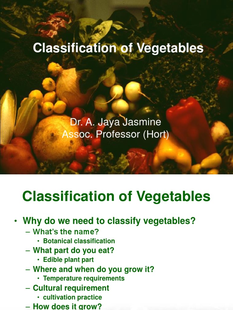 Vegetable Classification | PDF | Eggplant | Vegetables