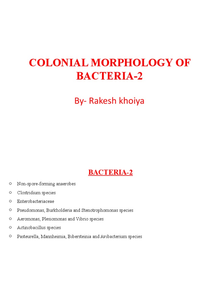 Colonial Morphology of Bacteria 2 | PDF | Growth Medium | Pseudomonas