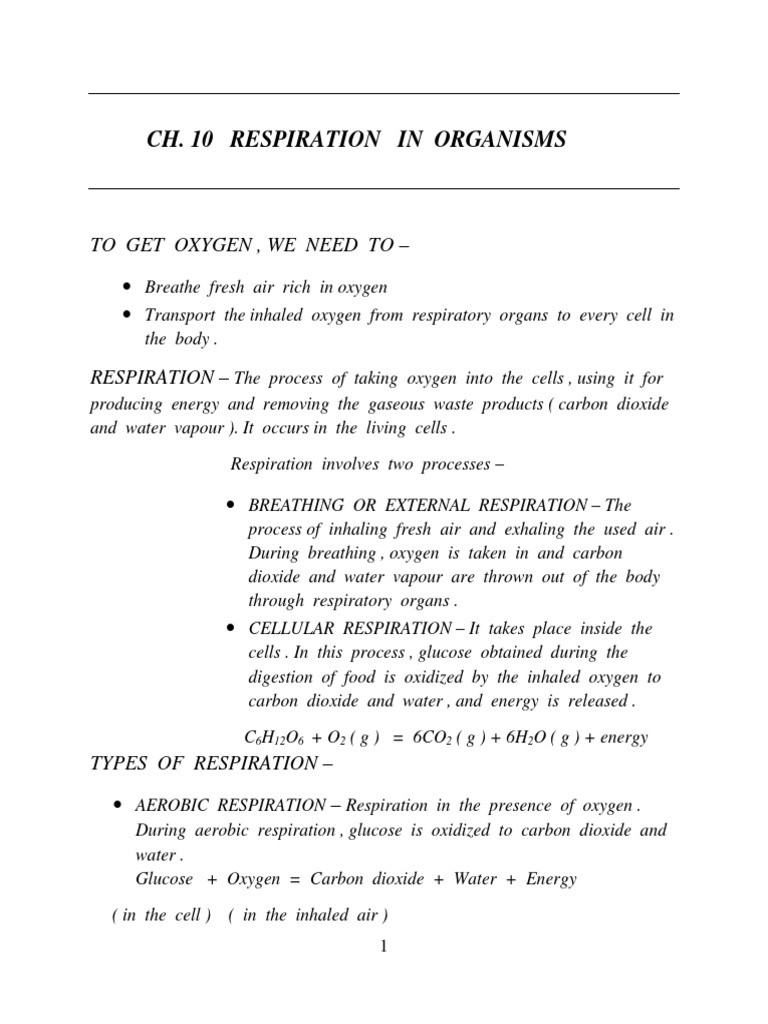 Respiration in Organisms | PDF | Cellular Respiration | Respiratory System