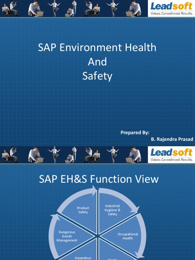 SAP Overview | PDF | Dangerous Goods | Occupational Safety And Health