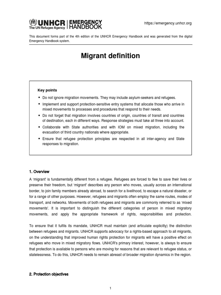 Migrant Definition: Key Points | PDF | Asylum Seeker | Refugee