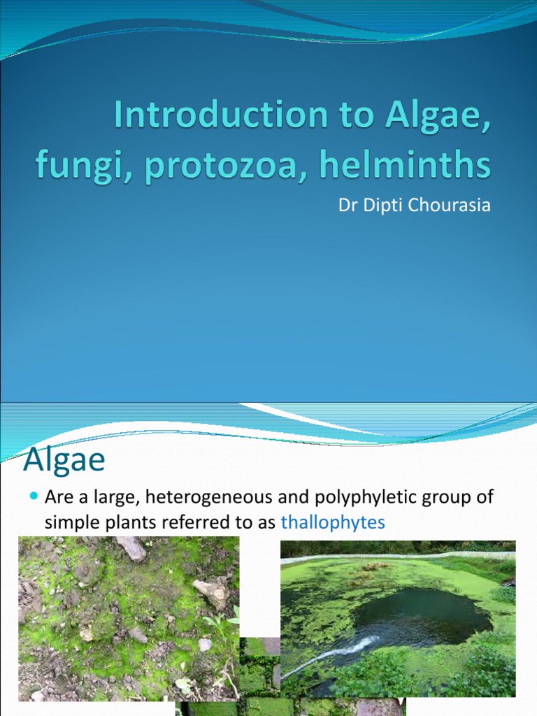 Introduction To Algae, Fungi, Protozoa, Helminths | PDF | Protozoa | Fungus