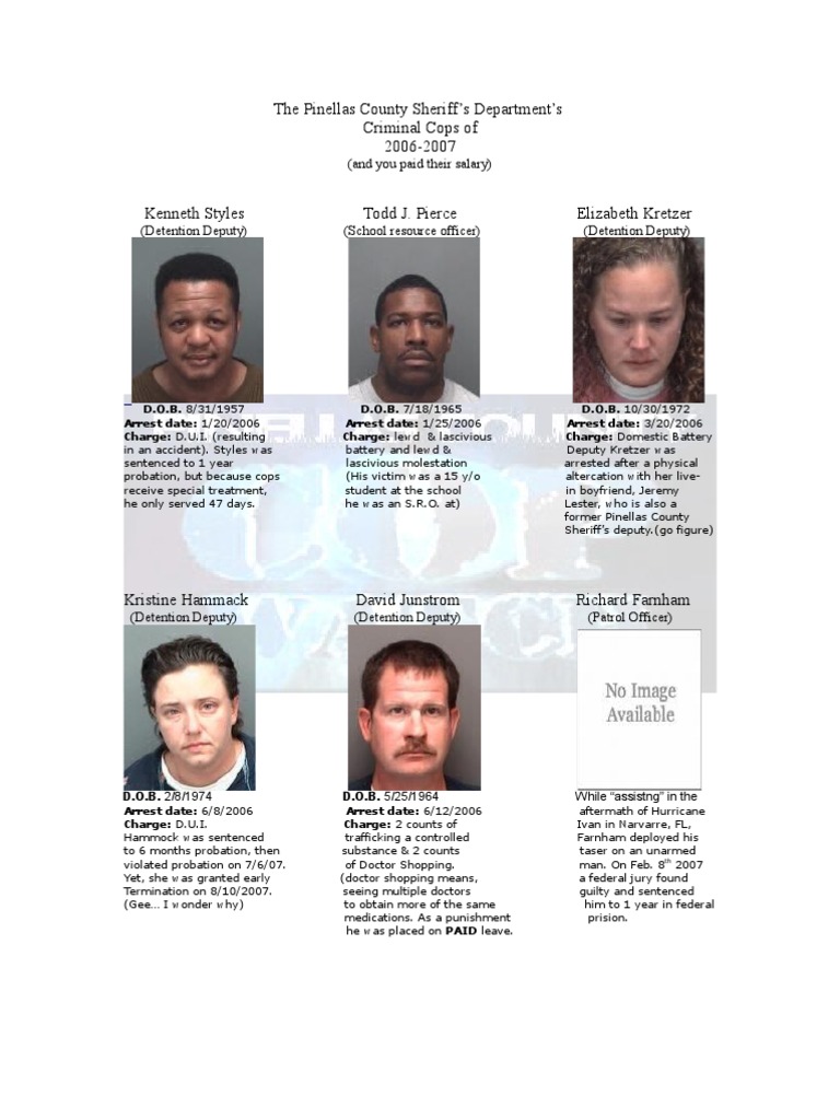 The Pinellas County Sheriff's Office | PDF | Battery (Crime) | Domestic ...