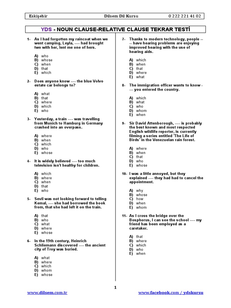 YDS Noun & Relative Clause Test | PDF | Danube | Nature