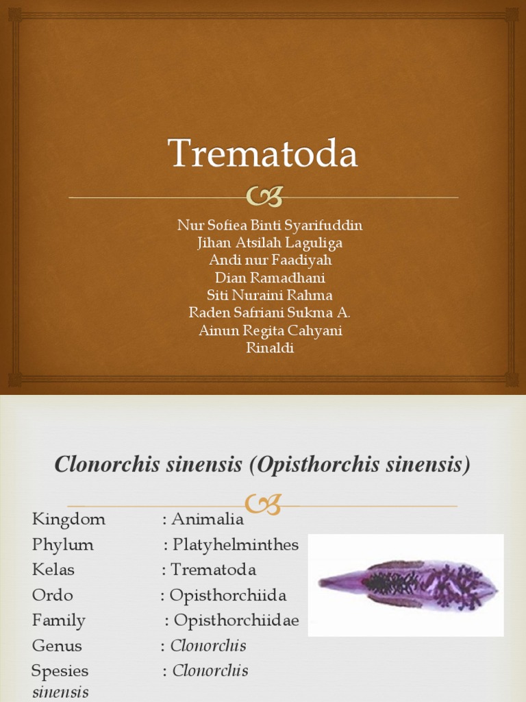 Cacing Trematoda: Morfologi dan Siklus Hidup | PDF