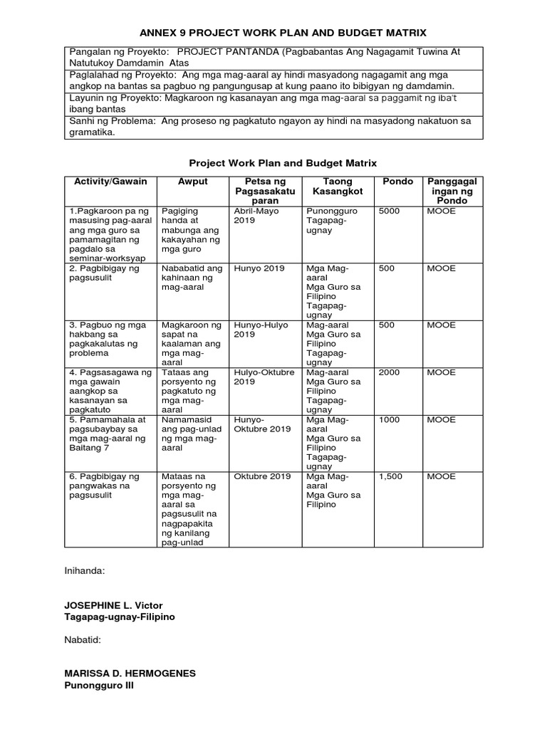 Cip Project Work Plan and Budget Matrix | PDF