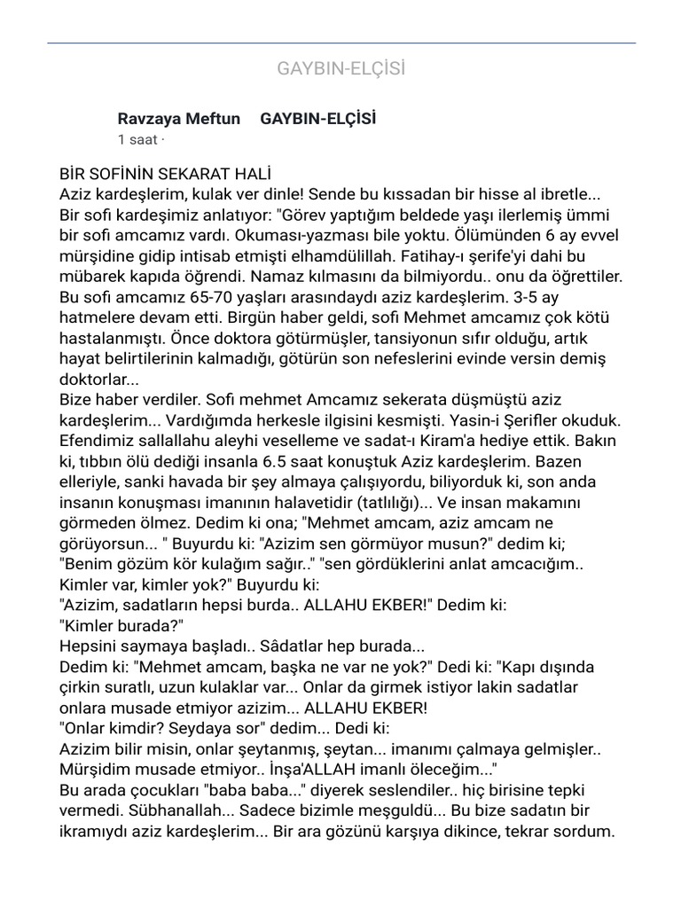 Gaybin Elçi̇si̇ | PDF