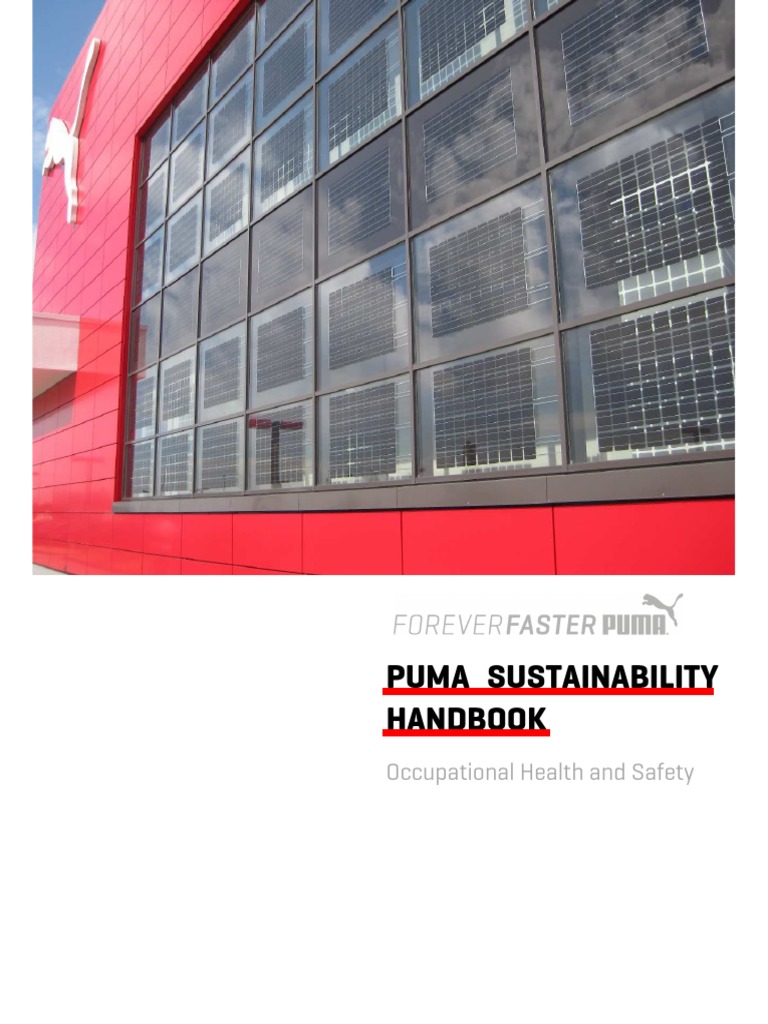 PUMA Health & Safety Guide | PDF | Occupational Safety And Health | Risk
