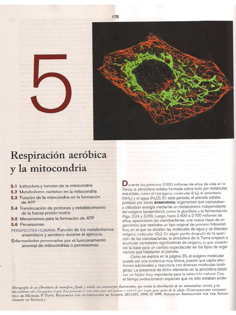 Cap 5 Karp 7ma | PDF