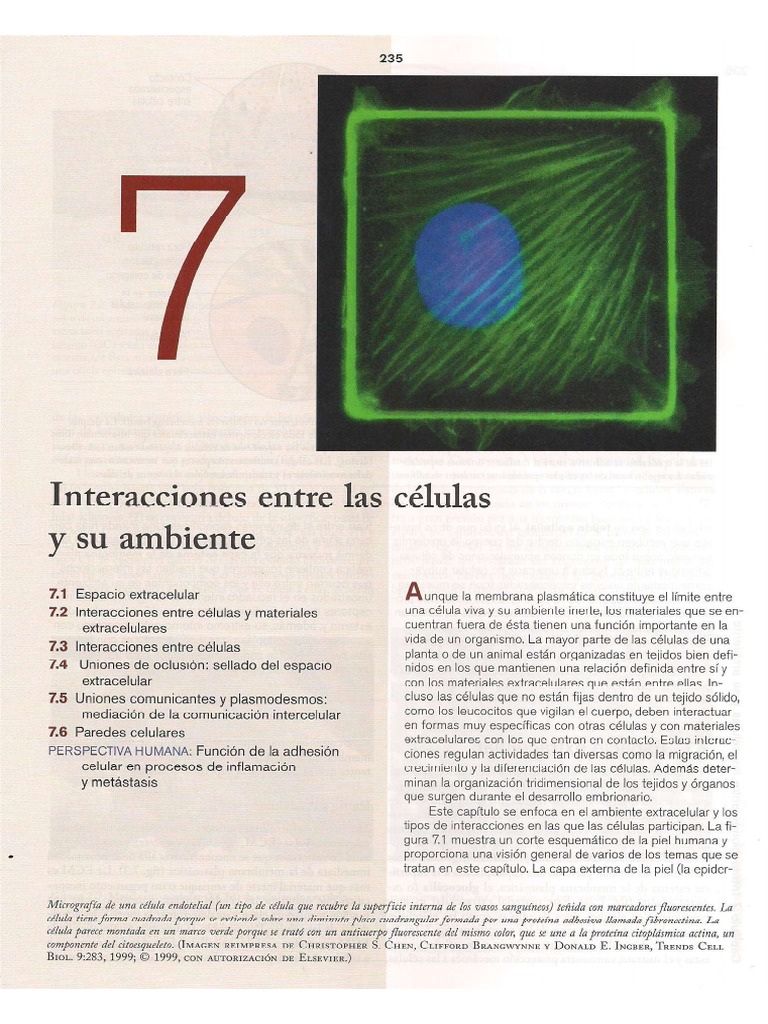 Cap 7 Karp 7ma | PDF